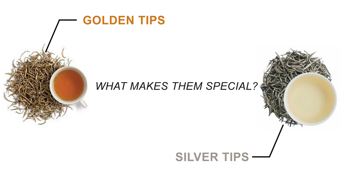 Golden Tips vs Silver Tips: What Makes Them Special – Nepal Tea