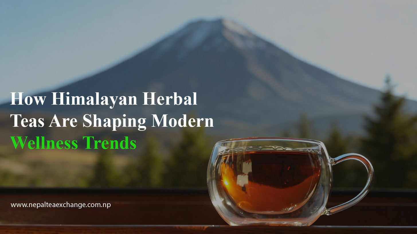 How Himalayan Herbal Teas Are Shaping Modern Wellness Trends – Nepal Tea