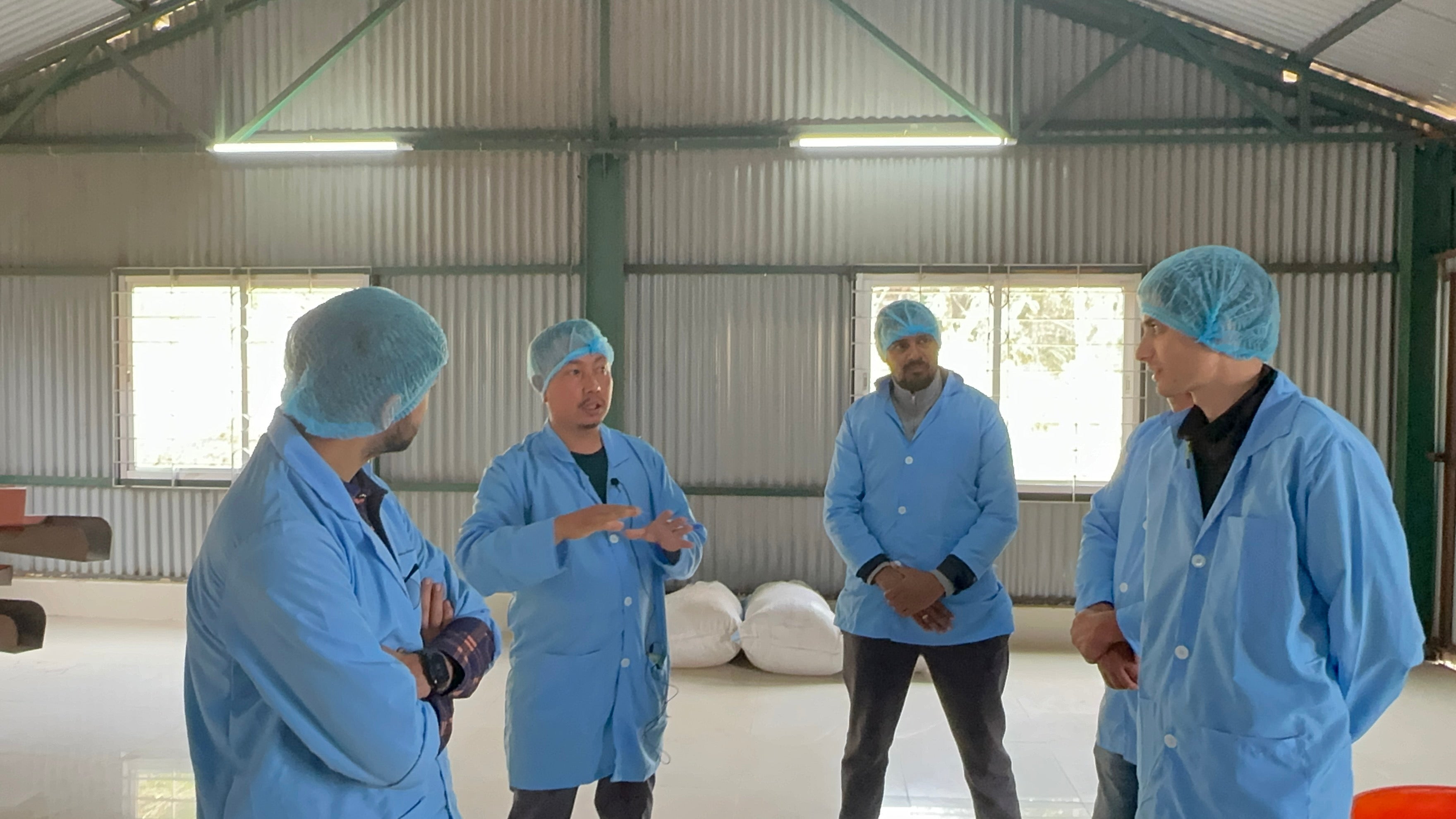 The Nepal Tea Signature: Worlds Best Teas