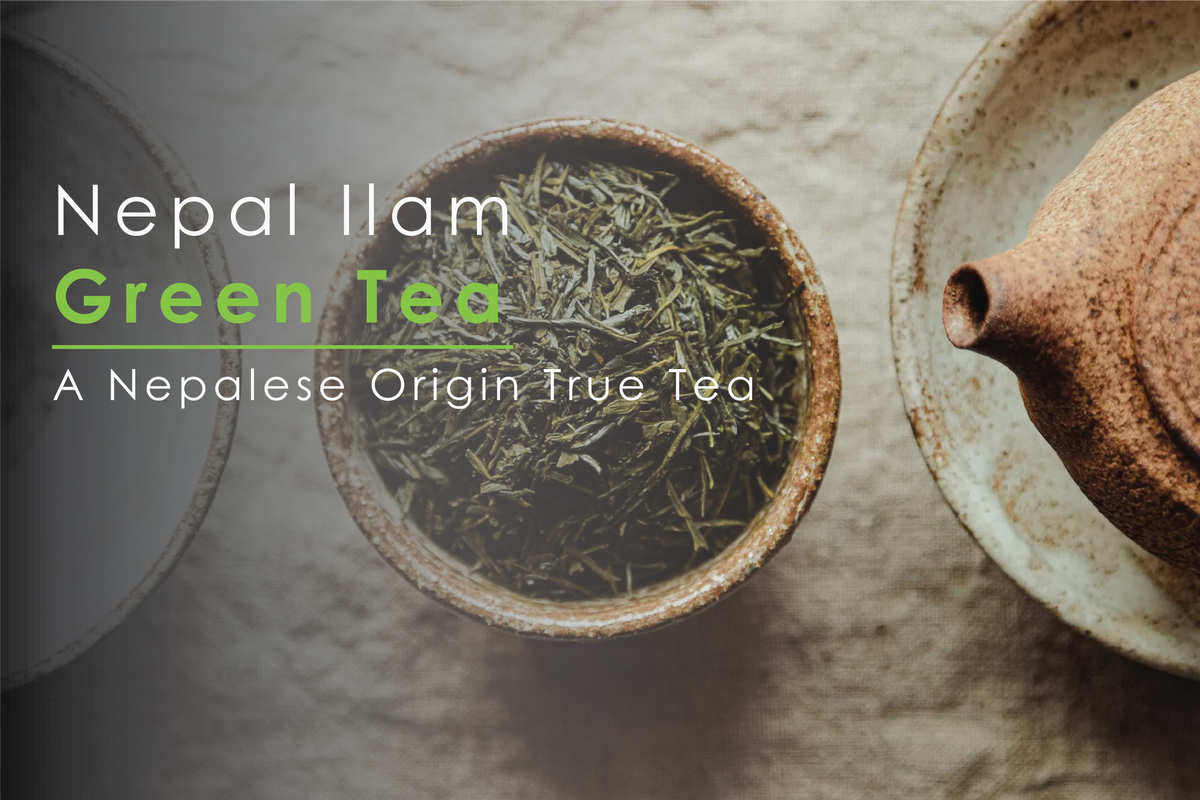 Organic Green Tea - A Nepalese Origin True Tea – Nepal Tea
